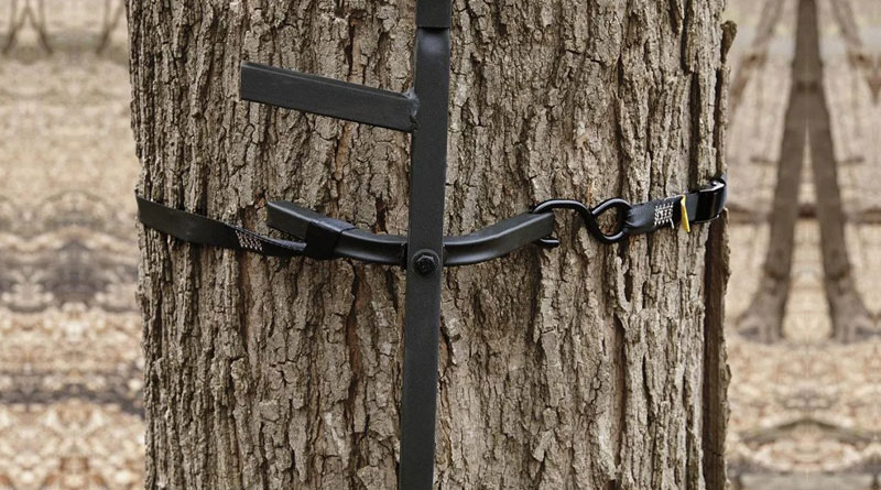 Best Budget Climbing Sticks of 2025 - Climb Daily